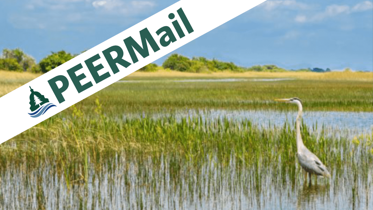 PEERMail: Clean Water Apocalypse - PEER.org