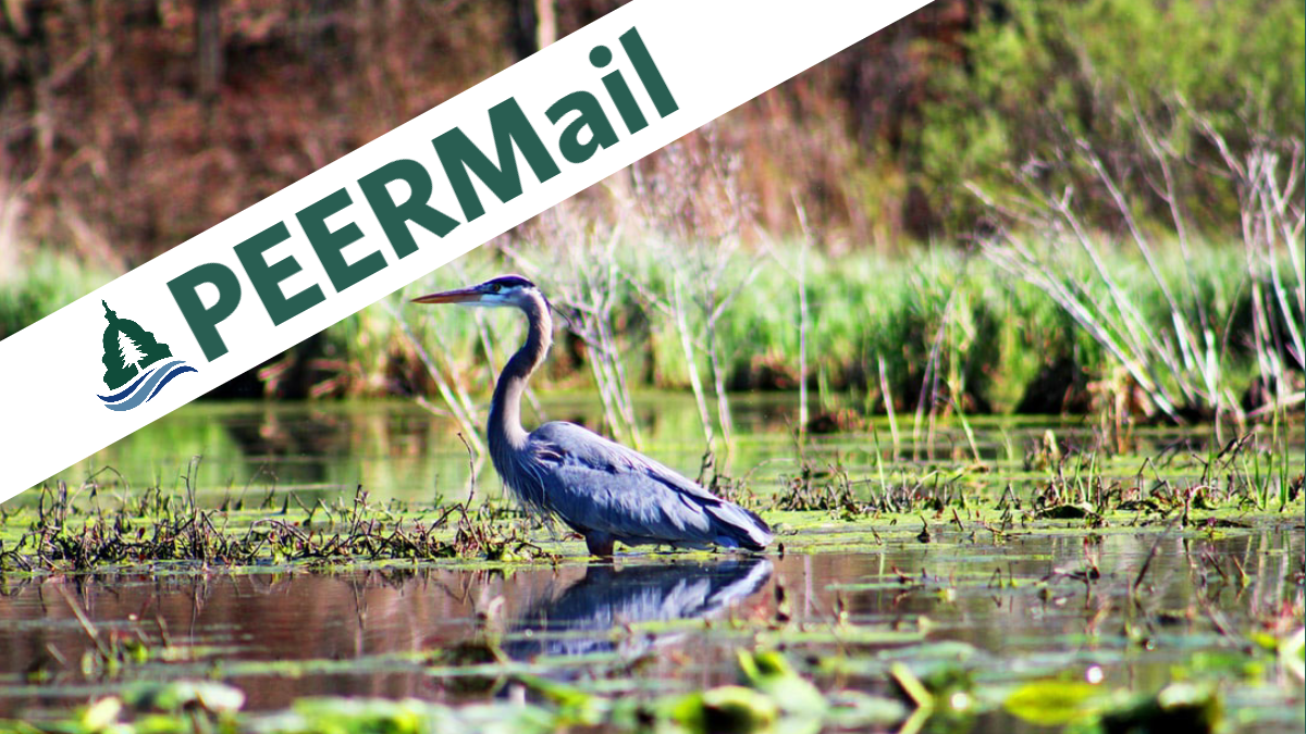 PEERMail | Taking Trump to Court Over Clean Water - PEER.org