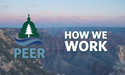 PEER | How We Work