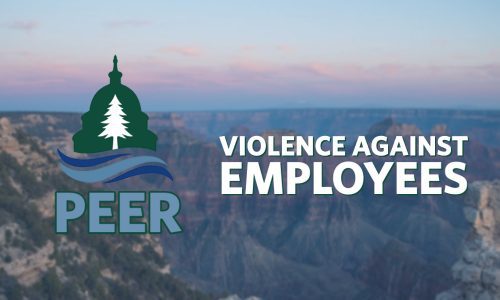 Violence and Harassment - Who Protect the Environment - PEER.org