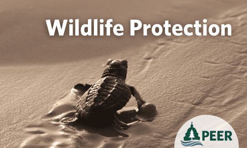 Wildlife Protection - Protecting the Environment - PEER.org