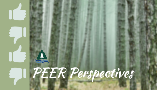 PEER Perspective - Summer 2021