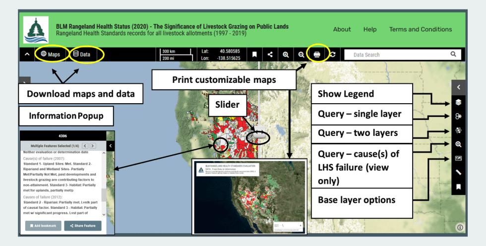 Mapping Rangeland Health