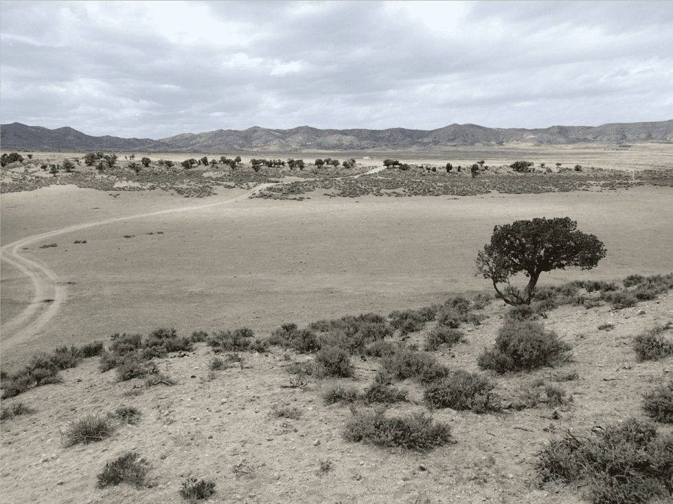 Mapping Rangeland Health