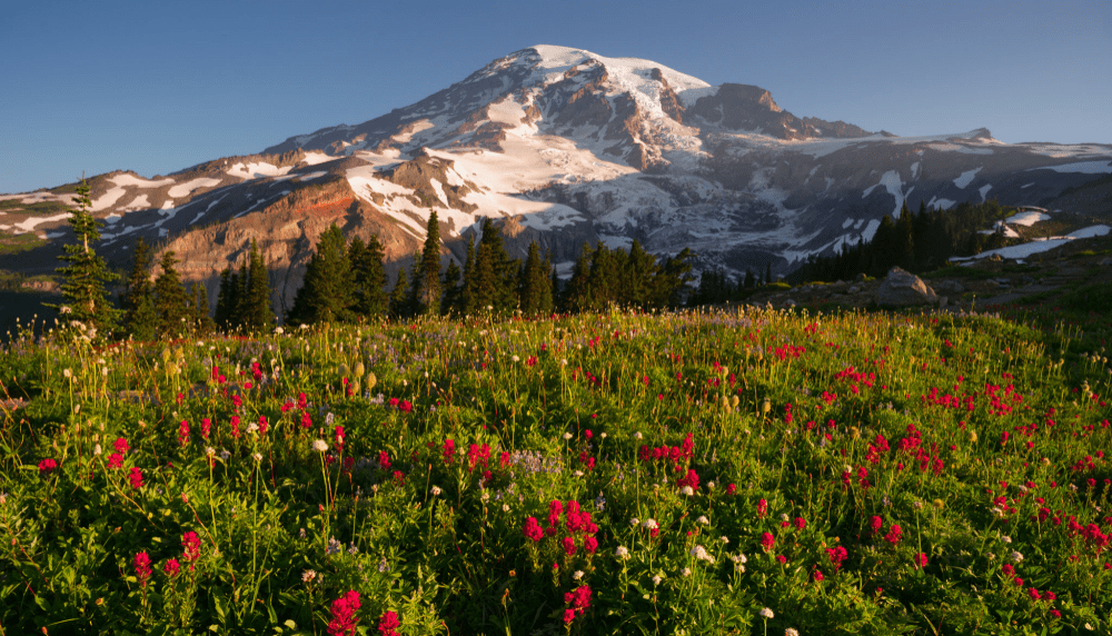 COMMENTARY | Going Big on Land Conservation in 30x30