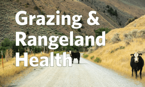Grazing and Rangeland Health - Protecting the Environment - PEER.org