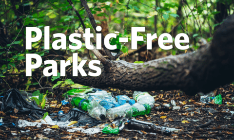 Plastic-Free Parks - Protecting the Environment - PEER.org