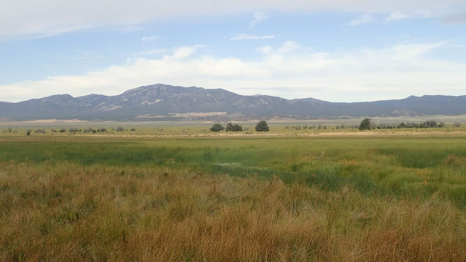 FACTSHEET | Rangeland Health and the BLM Grazing Program