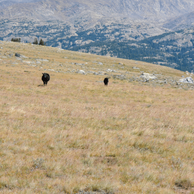 Mapping Rangeland Health - PEER.org