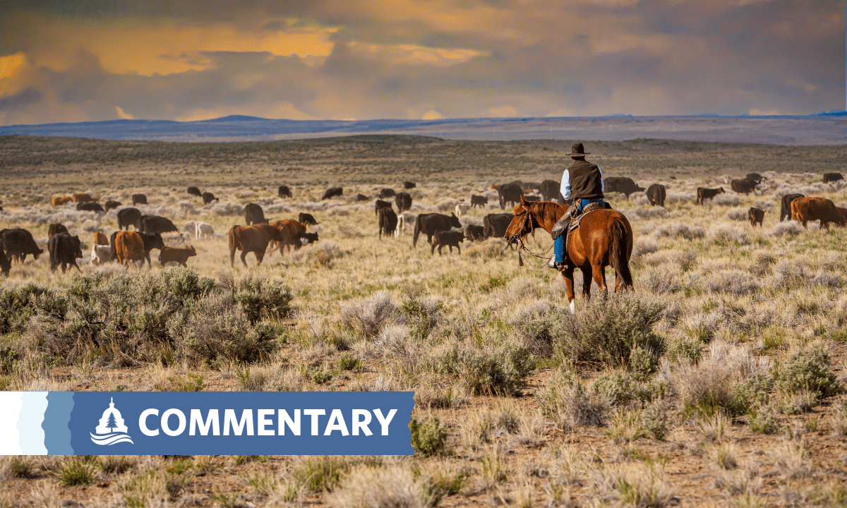 COMMENTARY | America’s Ailing Overgrazed Rangelands