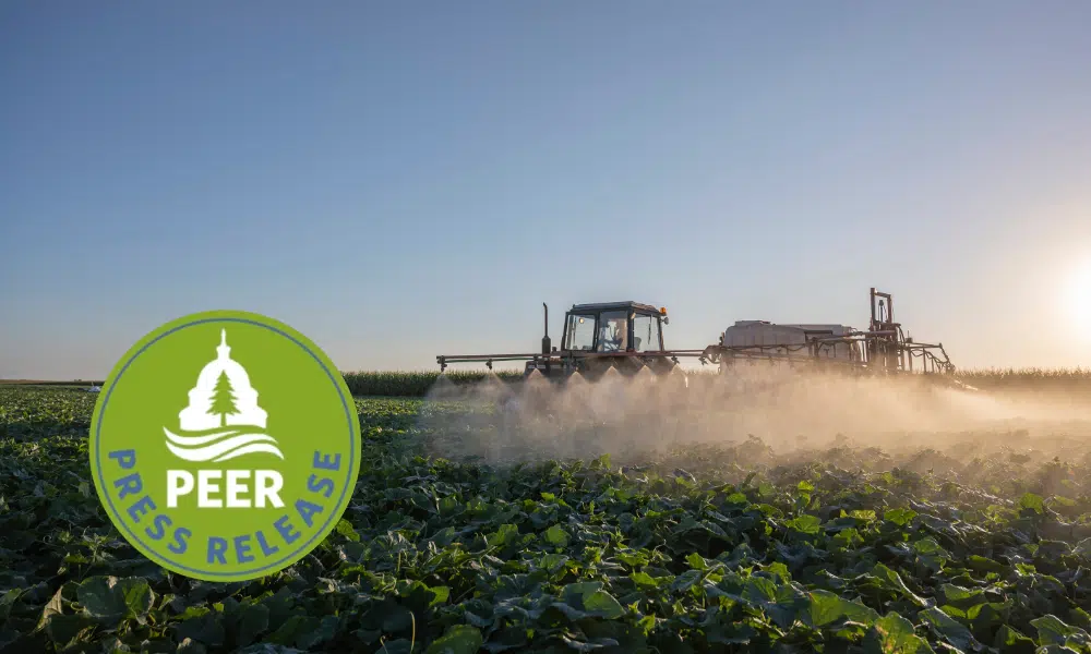 New Study Finds Alarming Rise in Persistent ‘Forever Chemicals’ in ...