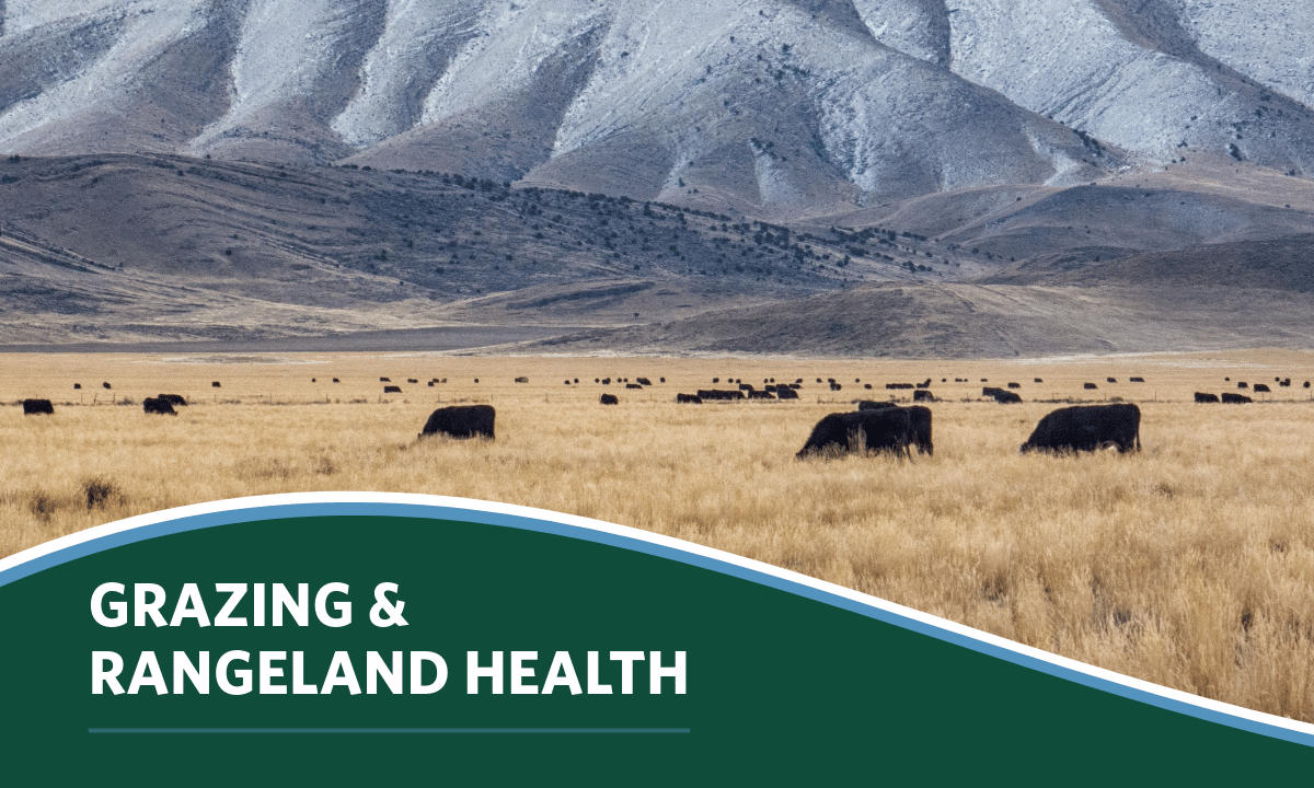 Grazing and Rangeland Health - Protecting the Environment - PEER.org