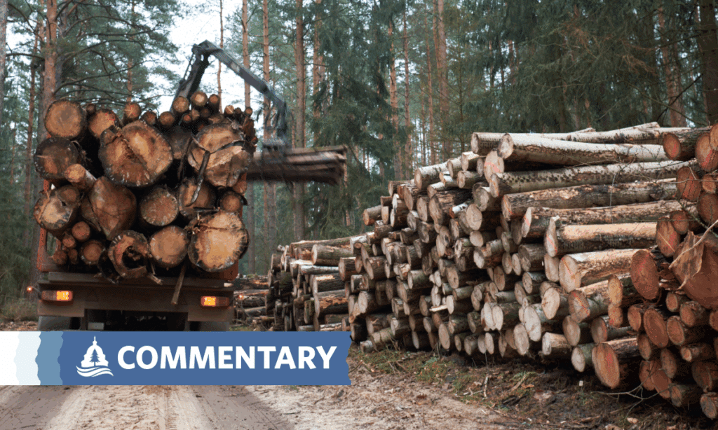 COMMENTARY | Redefining the US Forest Service Mission