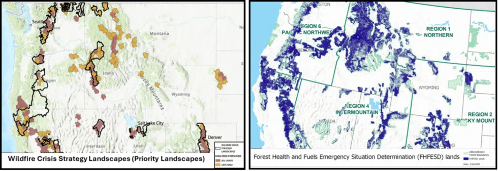 COMMENTARY | Redefining the US Forest Service Mission