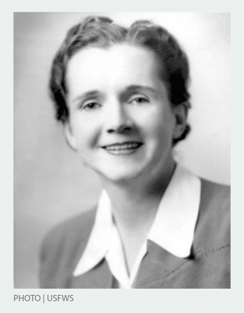 Spending Time in Nature Builds Resilience: A Lesson from Rachel Carson